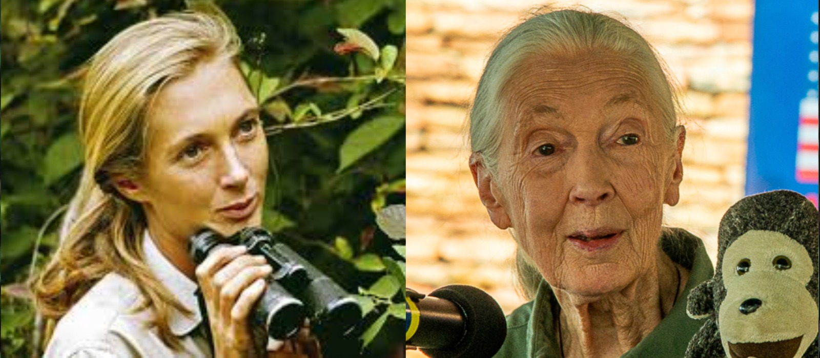 Jane Goodall, pioneering primatologist and environmental advocate, dies ...